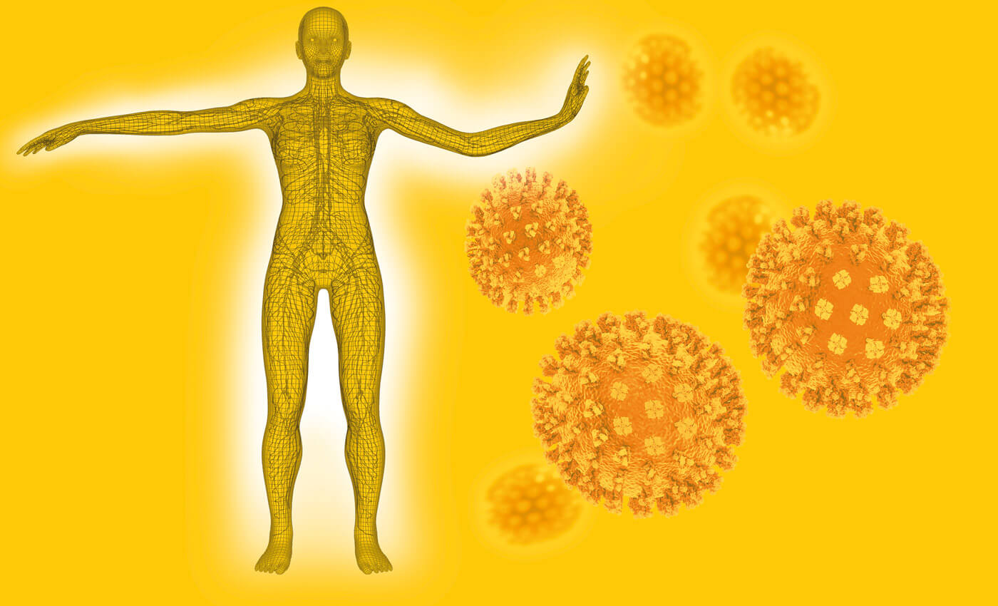 Immune System – Understanding the body | Heel