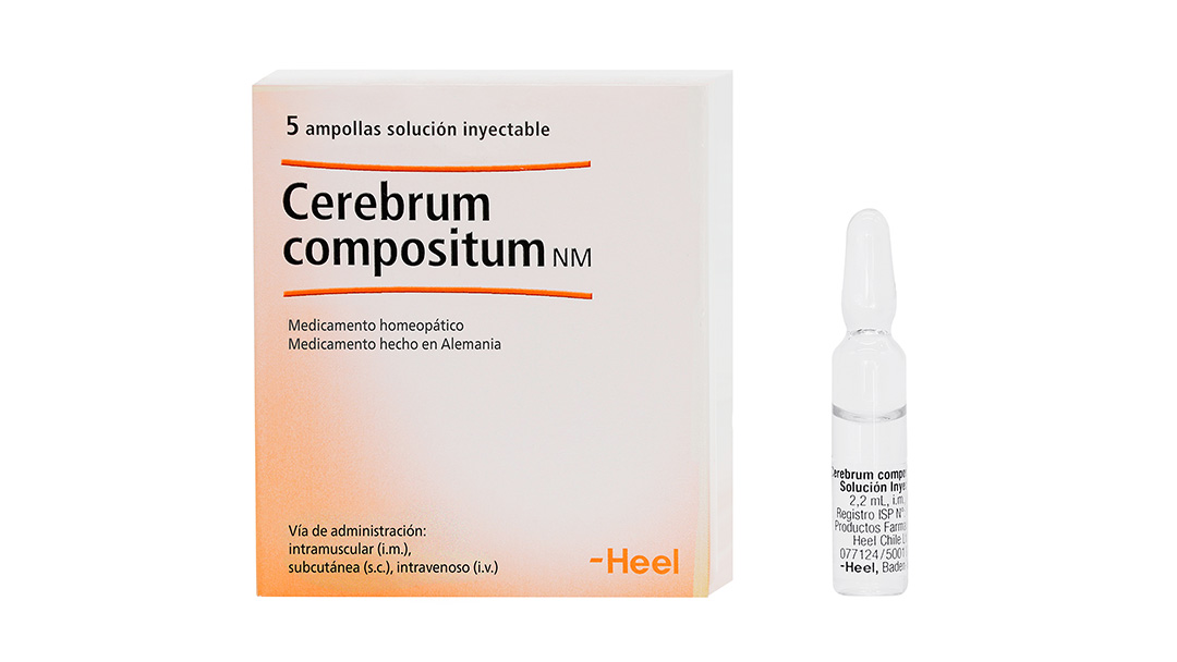 Cerebrum compositum NM | Heel